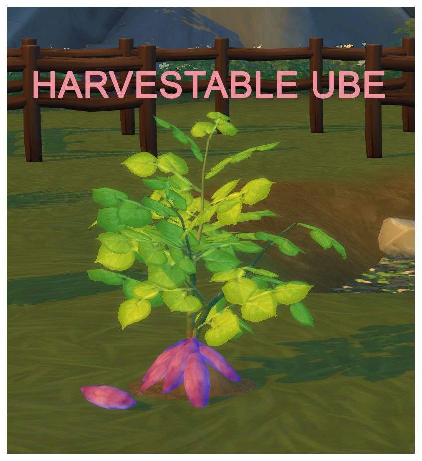 HARVESTABLE UBE – icemunmun