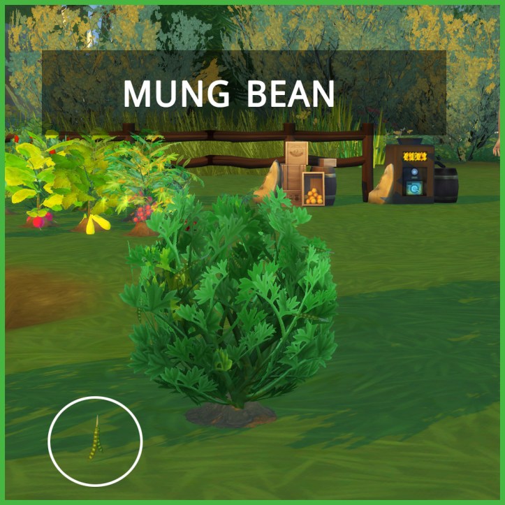 HARVESTABLE MUNG BEAN – icemunmun