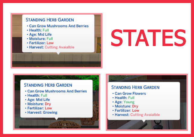 HERB GARDEN – icemunmun