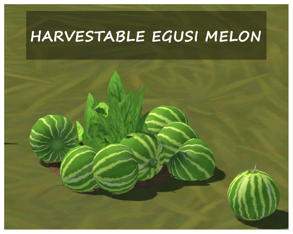 HARVESTABLE EGUSI MELON – icemunmun