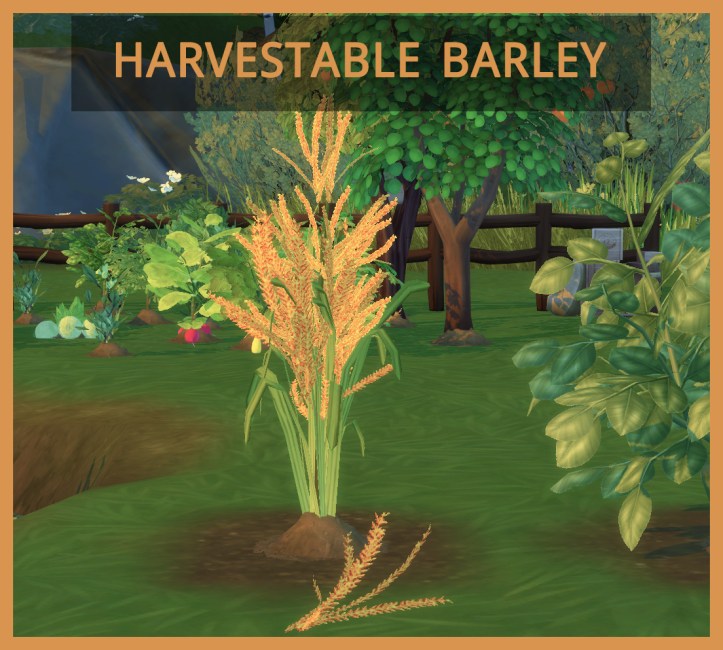 Harestable Barley – icemunmun
