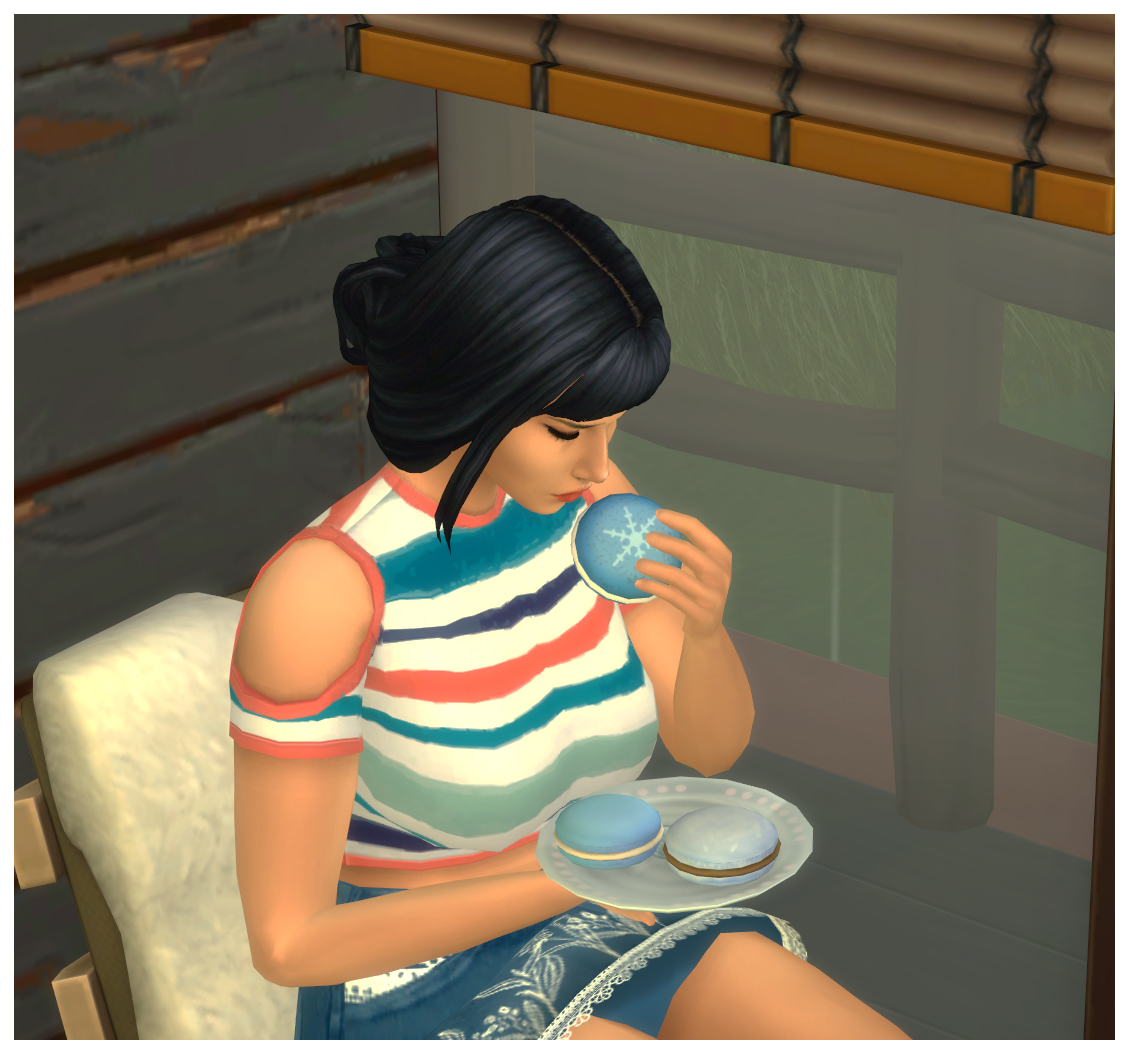 Mega Macaron Set – icemunmun