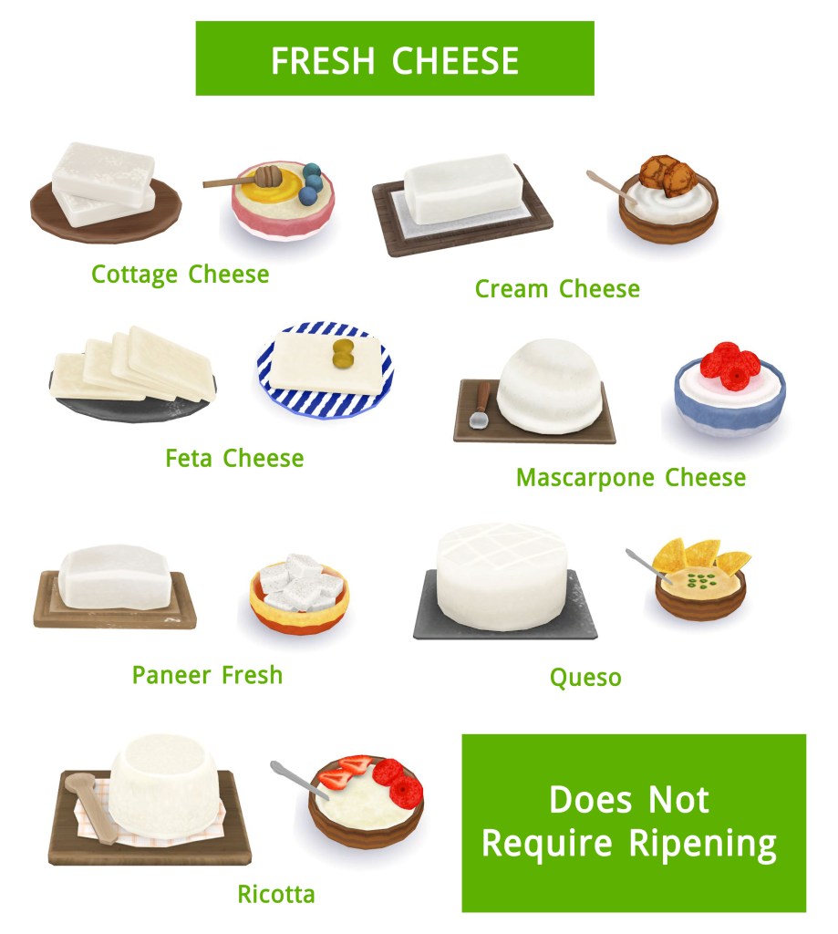 Functional CheeseMaker – DIY Cheese – icemunmun